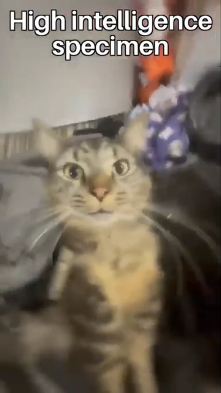 concept: High intelligence specimen | Fandom