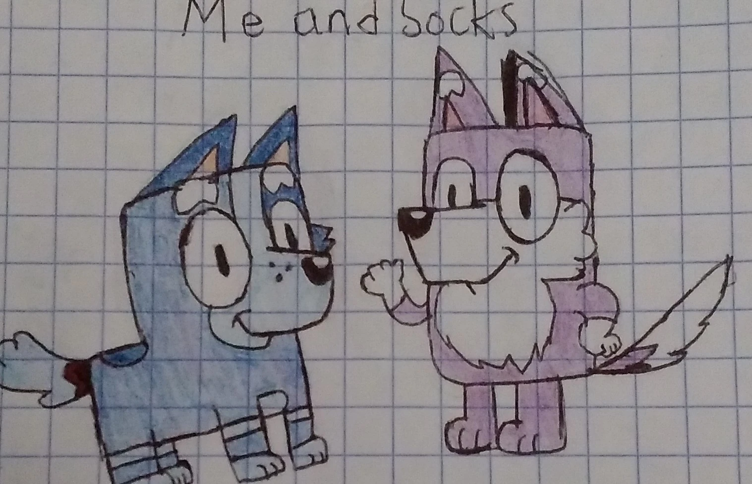 Gatox in Bluey Style + Socks | Fandom