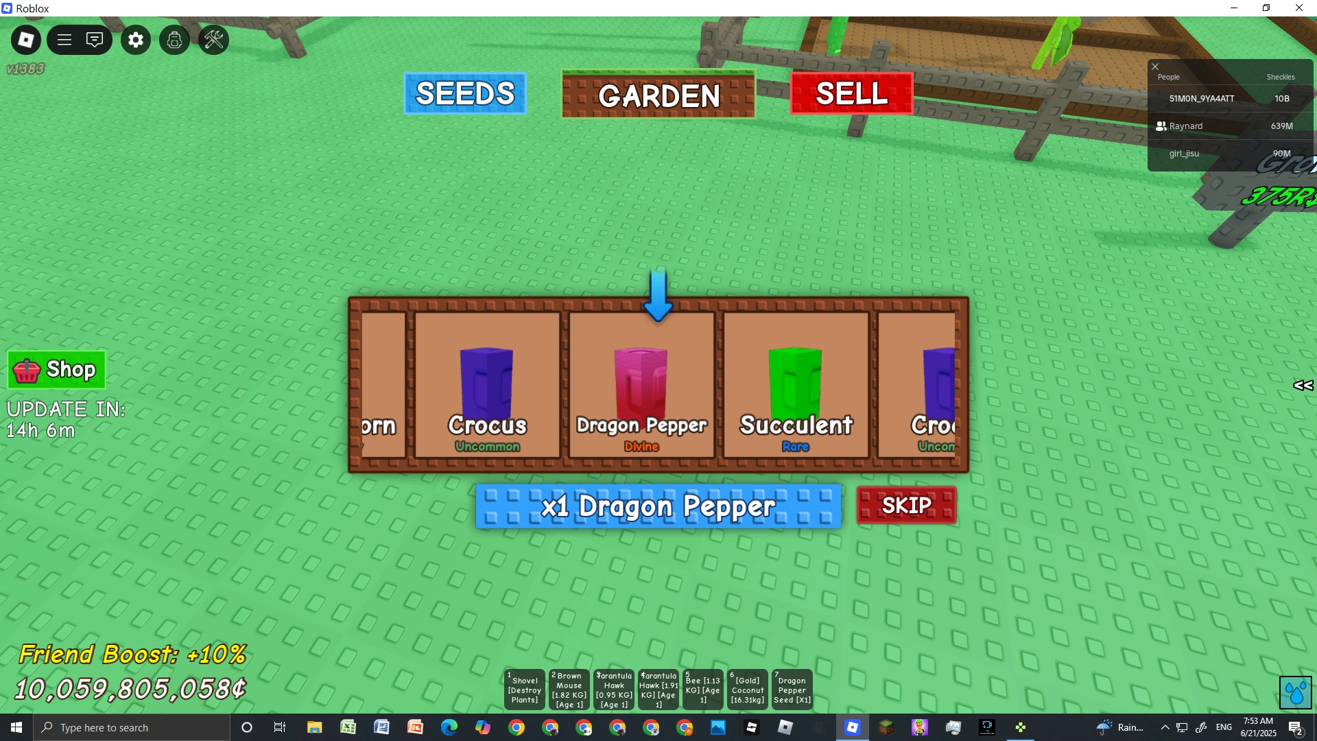 just got another dragon pepper | Fandom