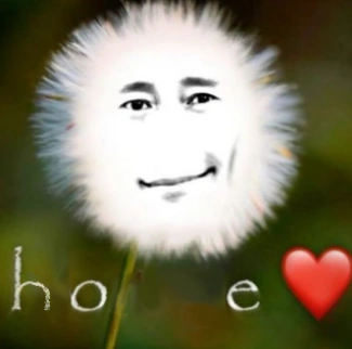 ho?? | Fandom