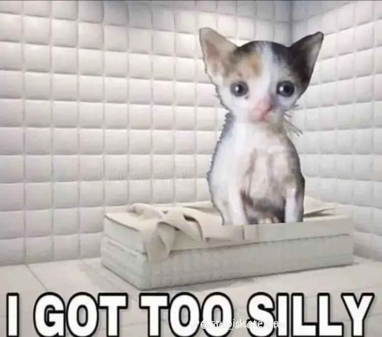 Cat memes because I probably need mental help (I am having self ...