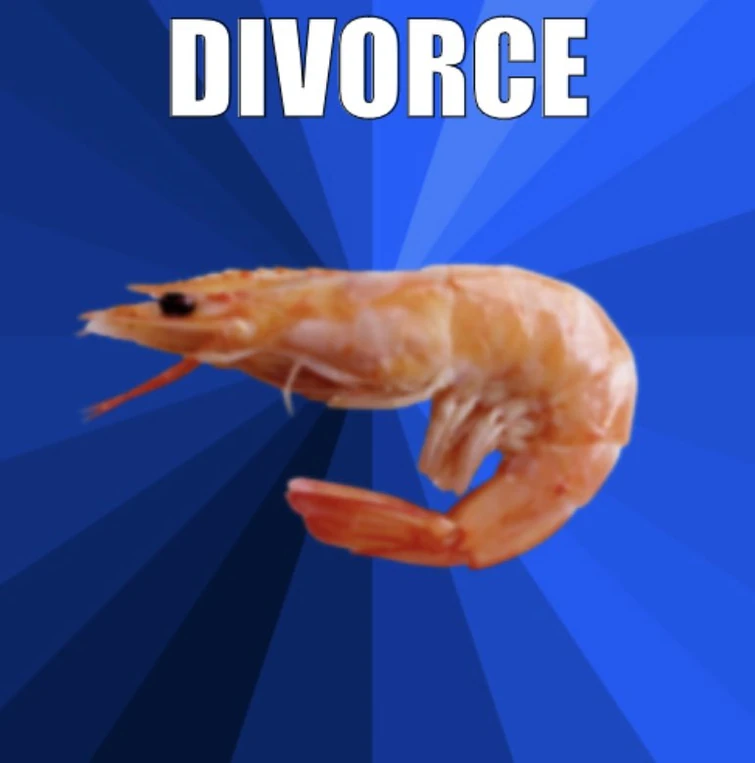 SHRIMP MEMES | Fandom