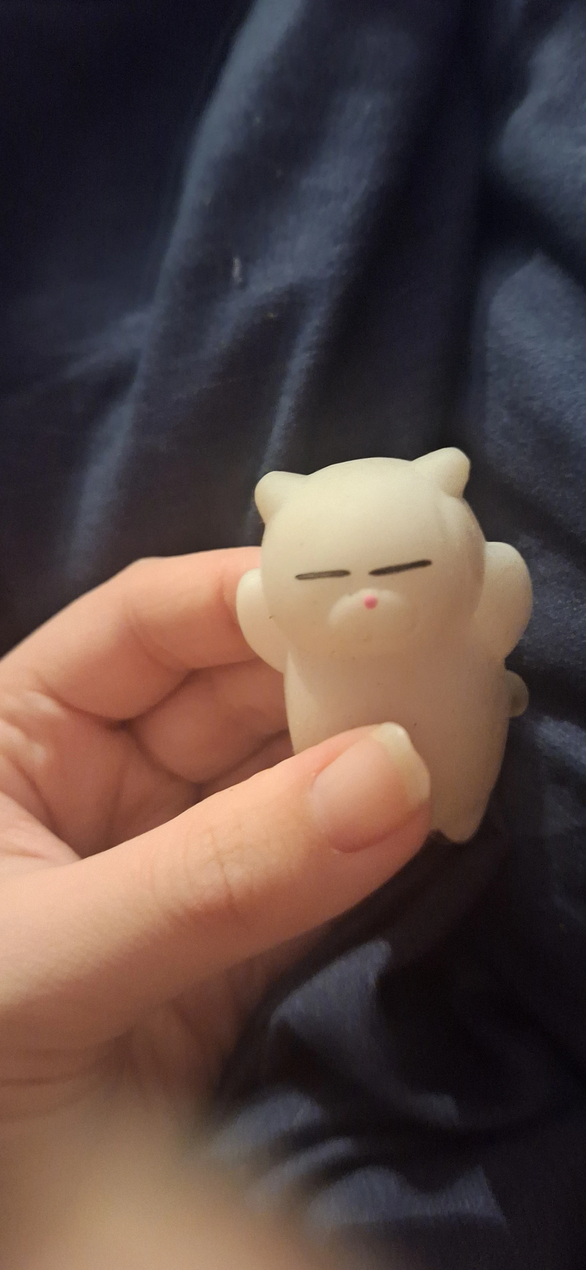 Found this cute little bear in the drawer of the living room | Fandom