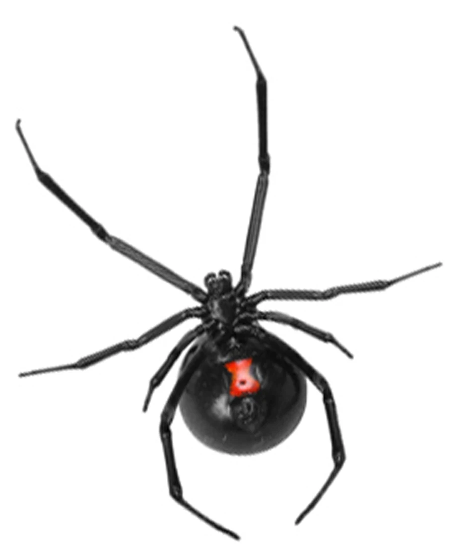 Mr. Spider | 10 Little Insects Wiki | Fandom