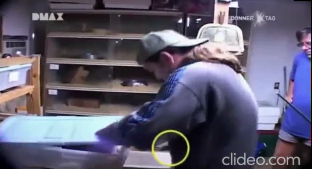 Story of David Weathers | 1000 Ways To Die Wiki | Fandom