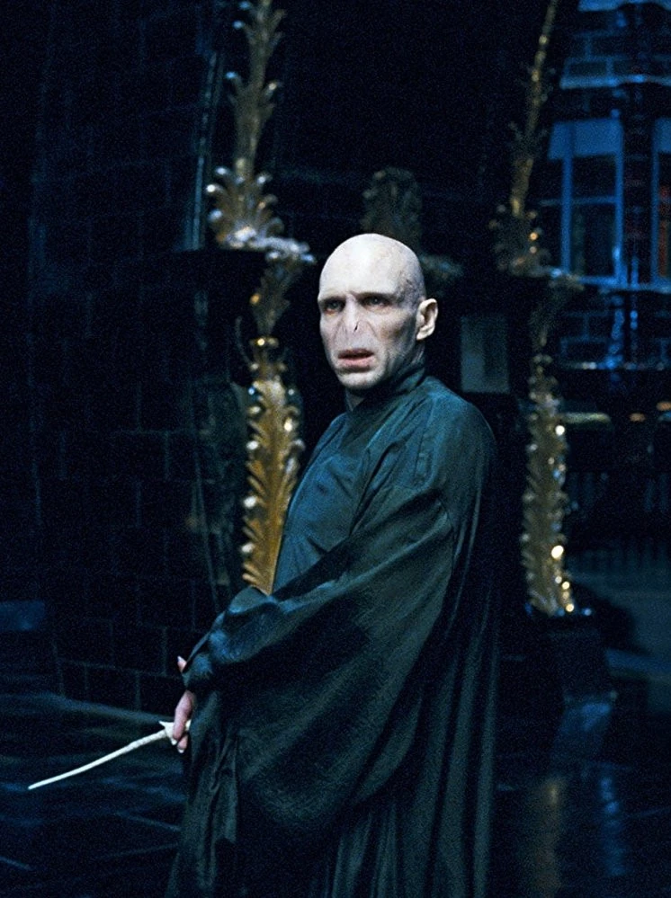 Voldemort | 100gamesvictorfanficstories Wiki | Fandom