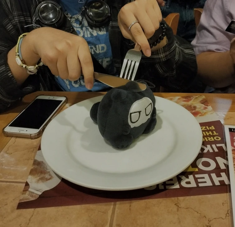 This is a duplicate of a post | Fandom