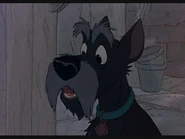 Cameo Gallery | 101 Dalmatians Wiki | Fandom