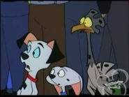 Spot/Gallery | 101 Dalmatians Wiki | Fandom