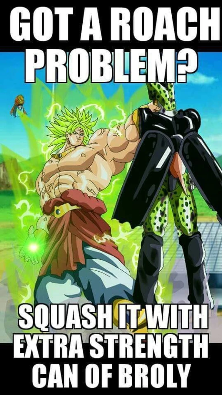 BUY BROLY for roaches (memes) | Fandom