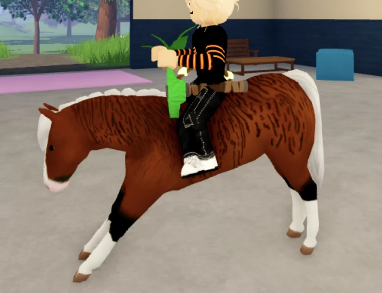 BAY BRINDLE FJORDS ARE SO CUTE | Fandom