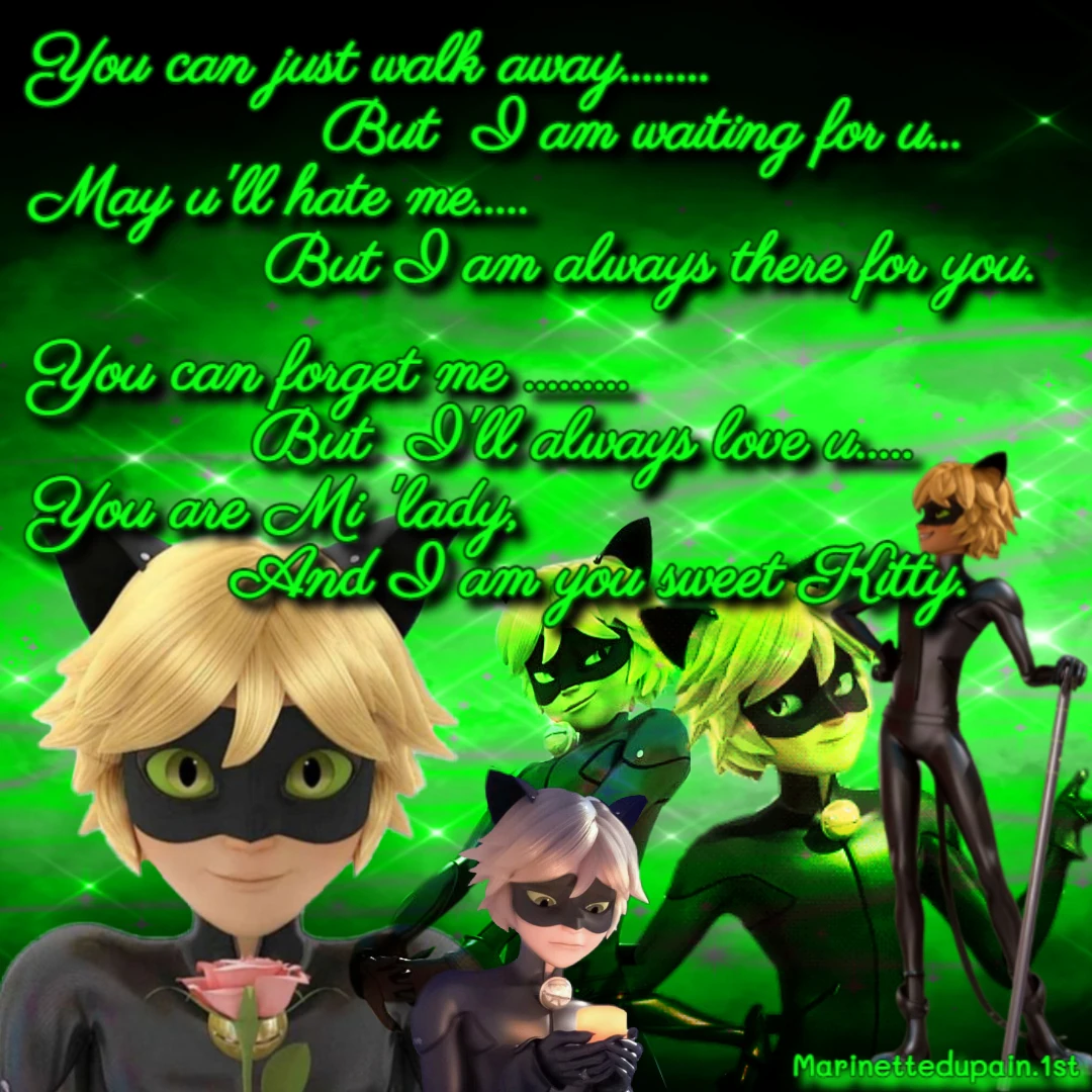 💚🖤💚 | Fandom