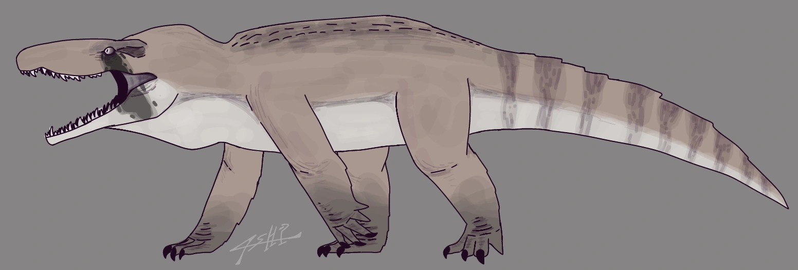 Sebecus icaeorhinus drawing | Fandom