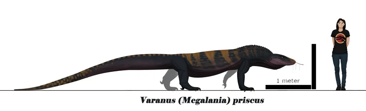 New Megalania (too based) | Fandom