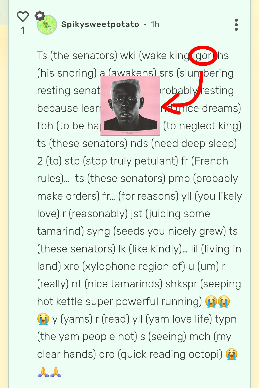 Spikysweetpotato references Tyler, the creator😱😱😱 | Fandom