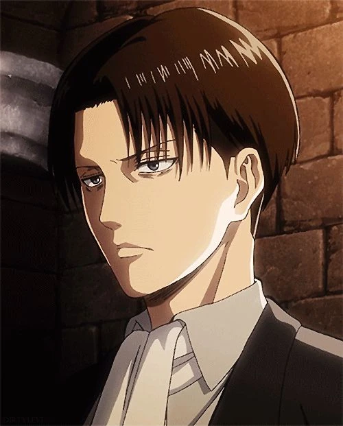 Levi! | Fandom