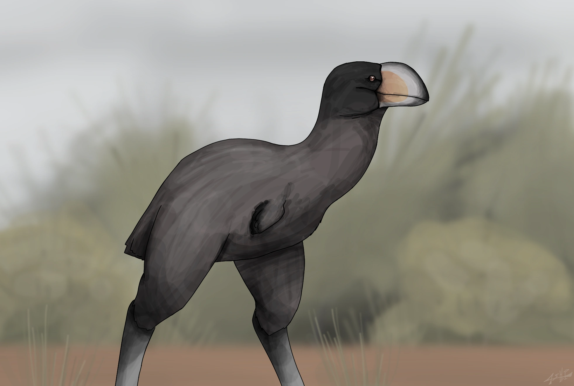Dromornis drawing | Fandom