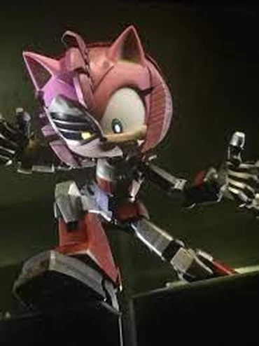 Rusty Rose vs. Amy Rose Who Wins? (Rusty Rose won last round) | Fandom