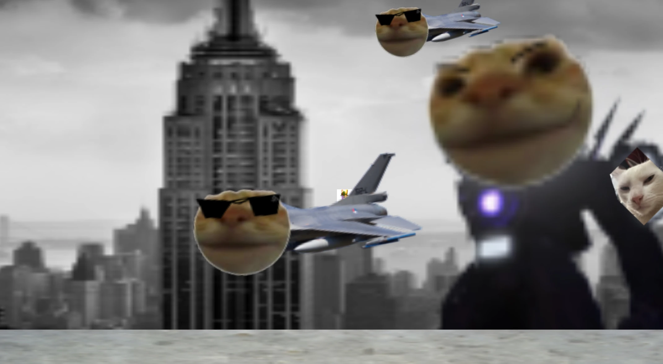 Leaks for boppity cat 58 | Fandom