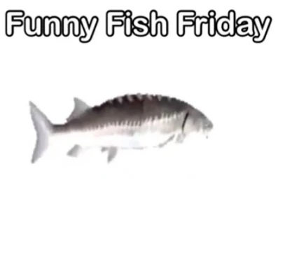 ITS FUNNY FISH FRIDAY | Fandom