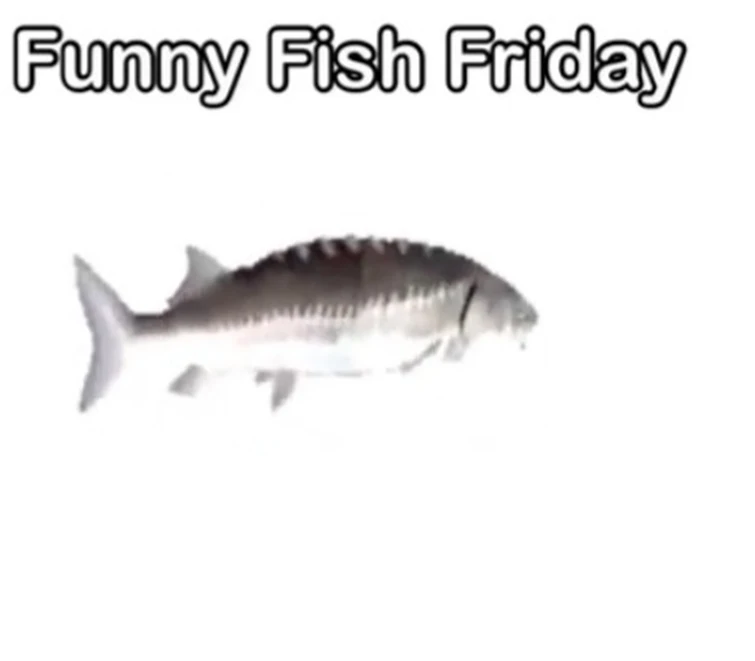 ITS FUNNY FISH FRIDAY | Fandom
