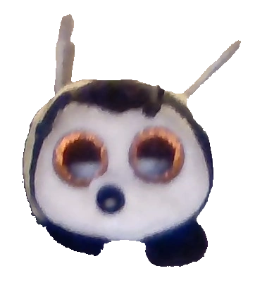 BEE (probably every irl bear alpha submissons) | Fandom