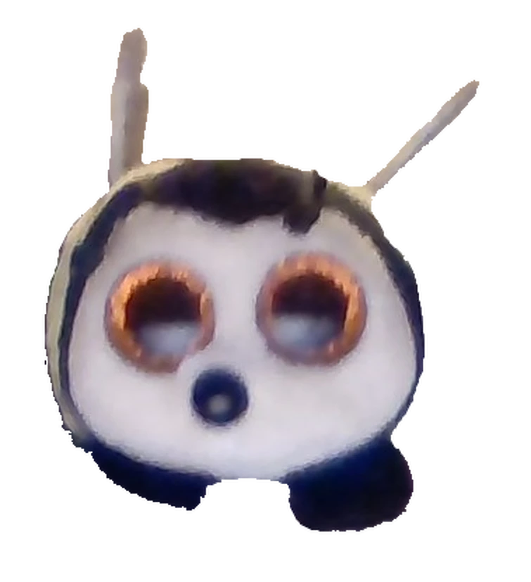 BEE (probably every irl bear alpha submissons) | Fandom