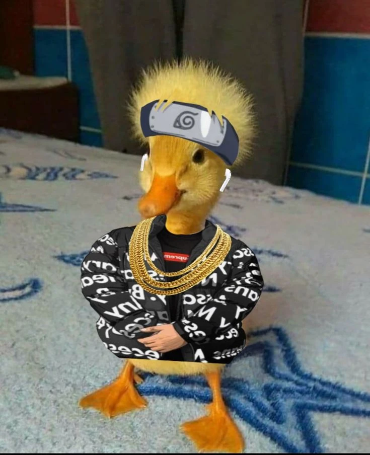 Giveaway Hype Post | Fandom