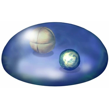 Discuss Everything About Pikmin Wiki | Fandom