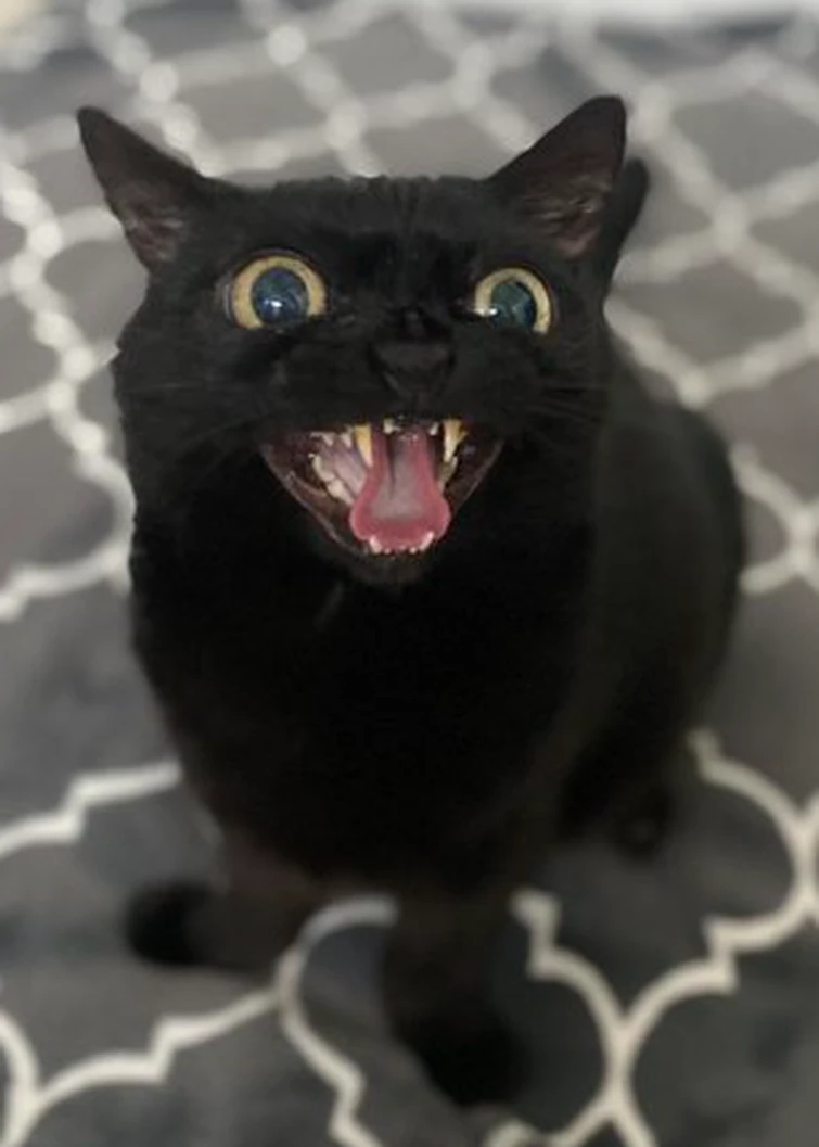 fdfsfdafsdasd | Fandom