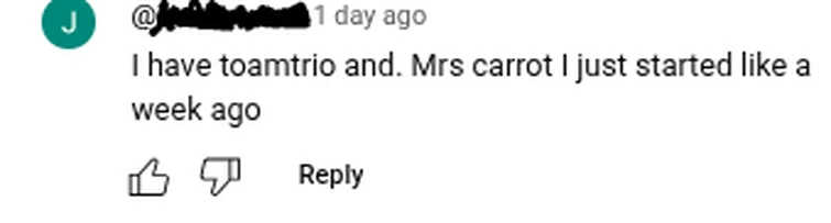 Toamtrio And Mrs Carrot | Fandom