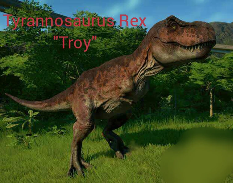 What oc should i do next? | Fandom