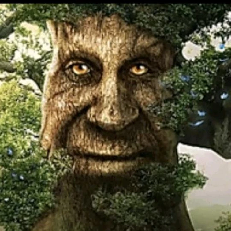 Best main character? | Fandom