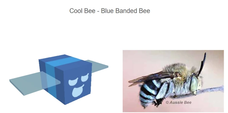BSS Bees and their irl counterparts! Rares :) | Fandom