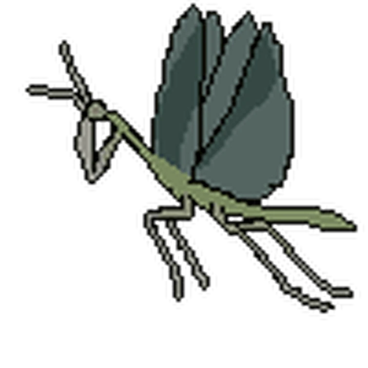 Y'all I made the flying mantis into pixel art | Fandom