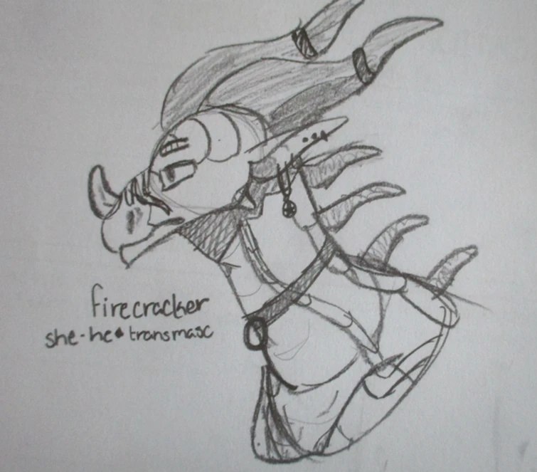 interact with firecracker! | Fandom