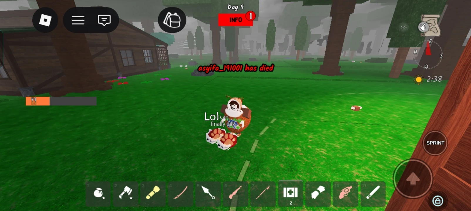 Let's communicate like this since Roblox removed chat | Fandom