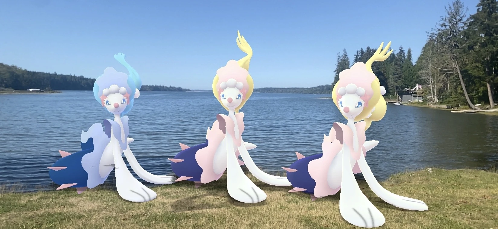 happy popplio community day!!! | Fandom