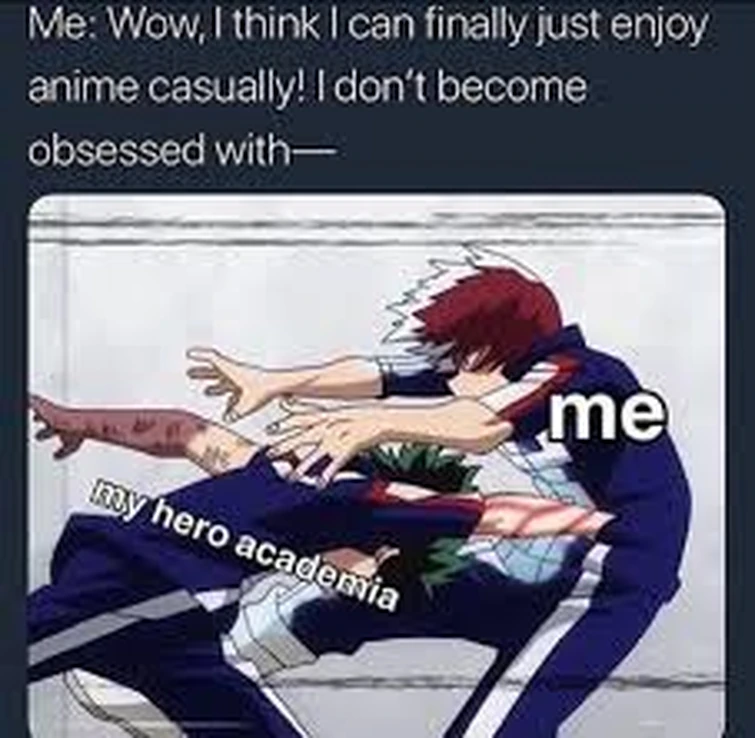 Random MHA Stuff That Will Make You Say “Plus Ultra” Part 2 | Fandom