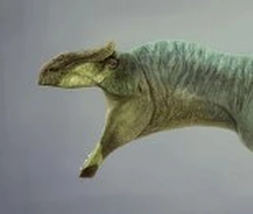 WDYLM: Morrison Theropods | Fandom