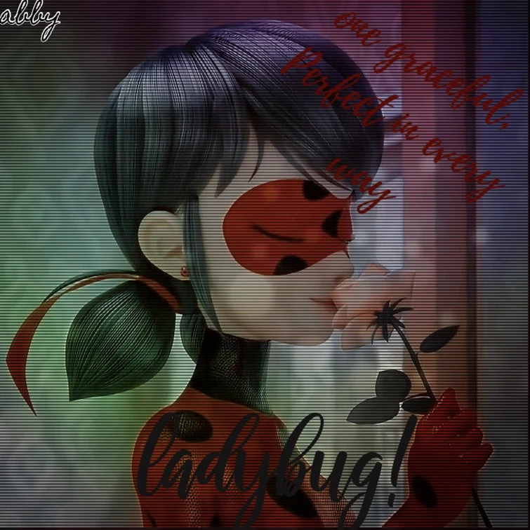 Ladybug edit ‘ | Fandom