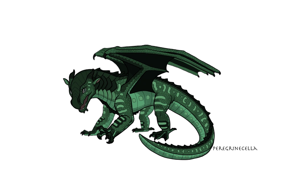 Alcid | 10Stories Wiki | Fandom