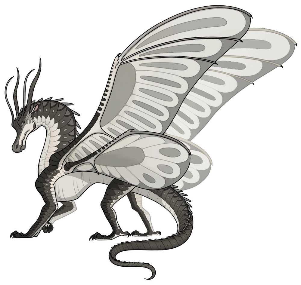 Agrippa | 10Stories Wiki | Fandom