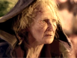 Swamp Witch | 10th Kingdom Wiki | Fandom
