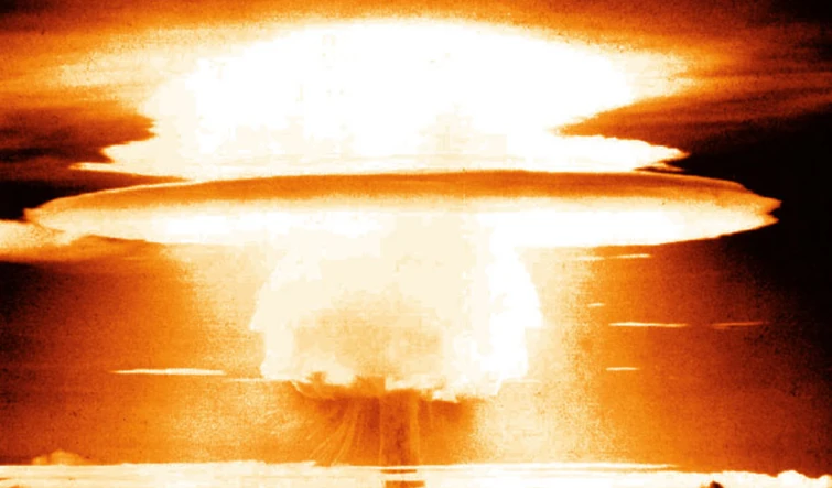 Blox Fruit Concept Contest : Contestant List | Fandom