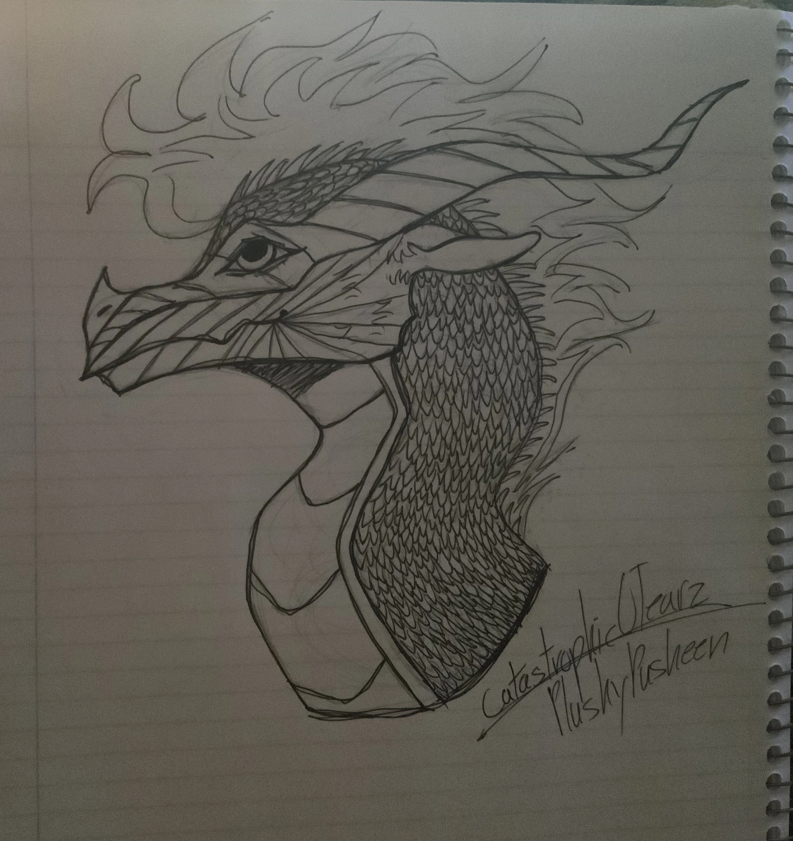 Weird dragon drawing | Fandom