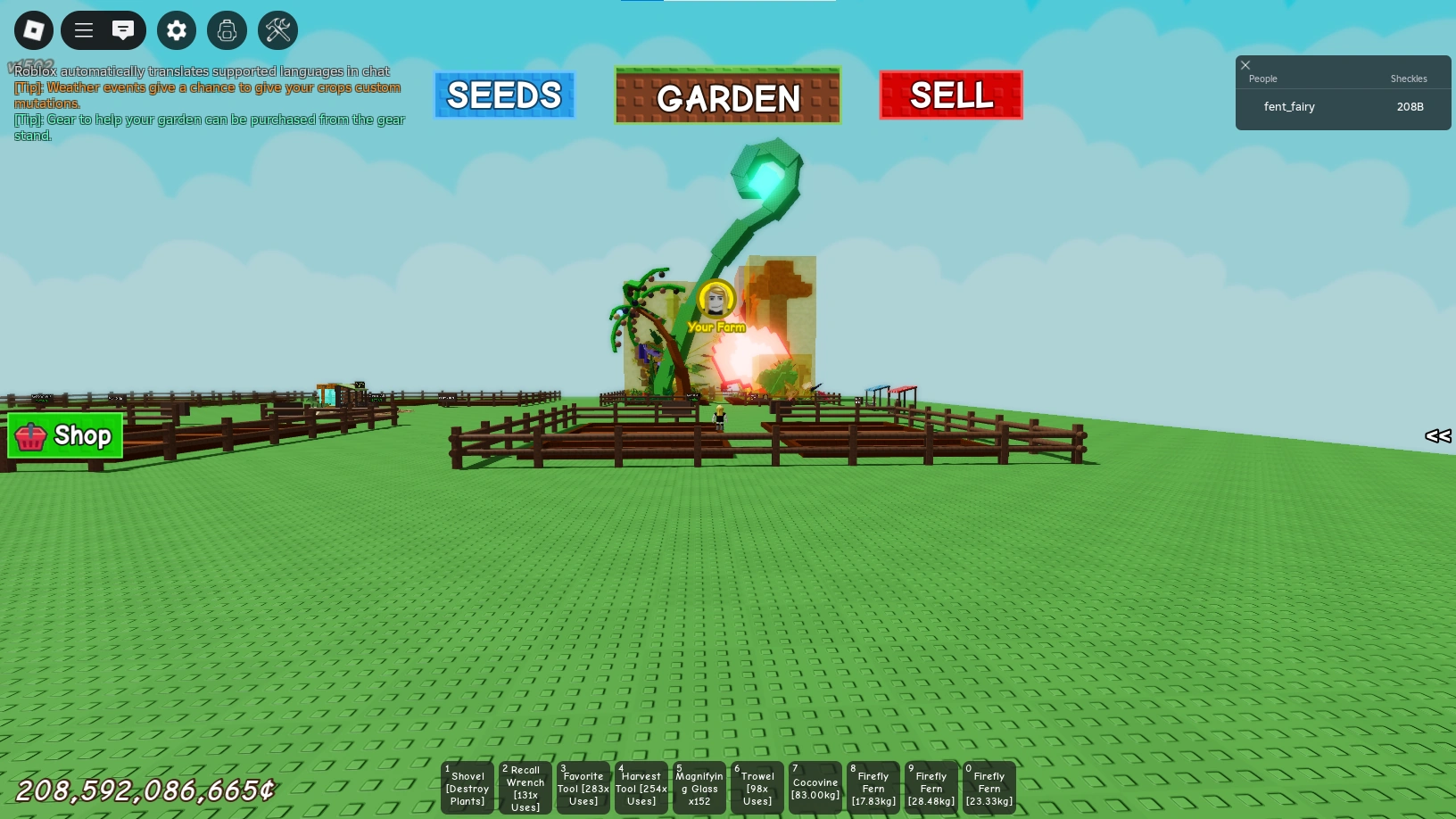 big firefly fern | Fandom