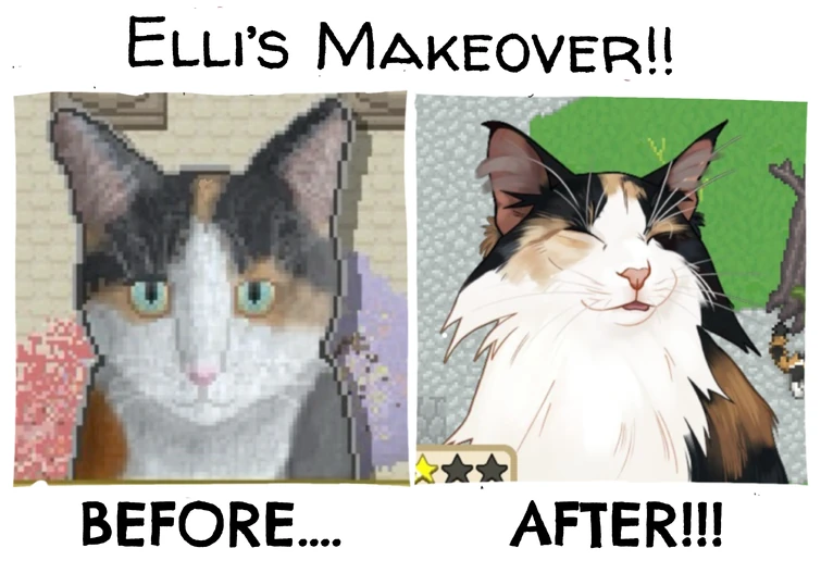 Cat Makeovers!!! | Fandom