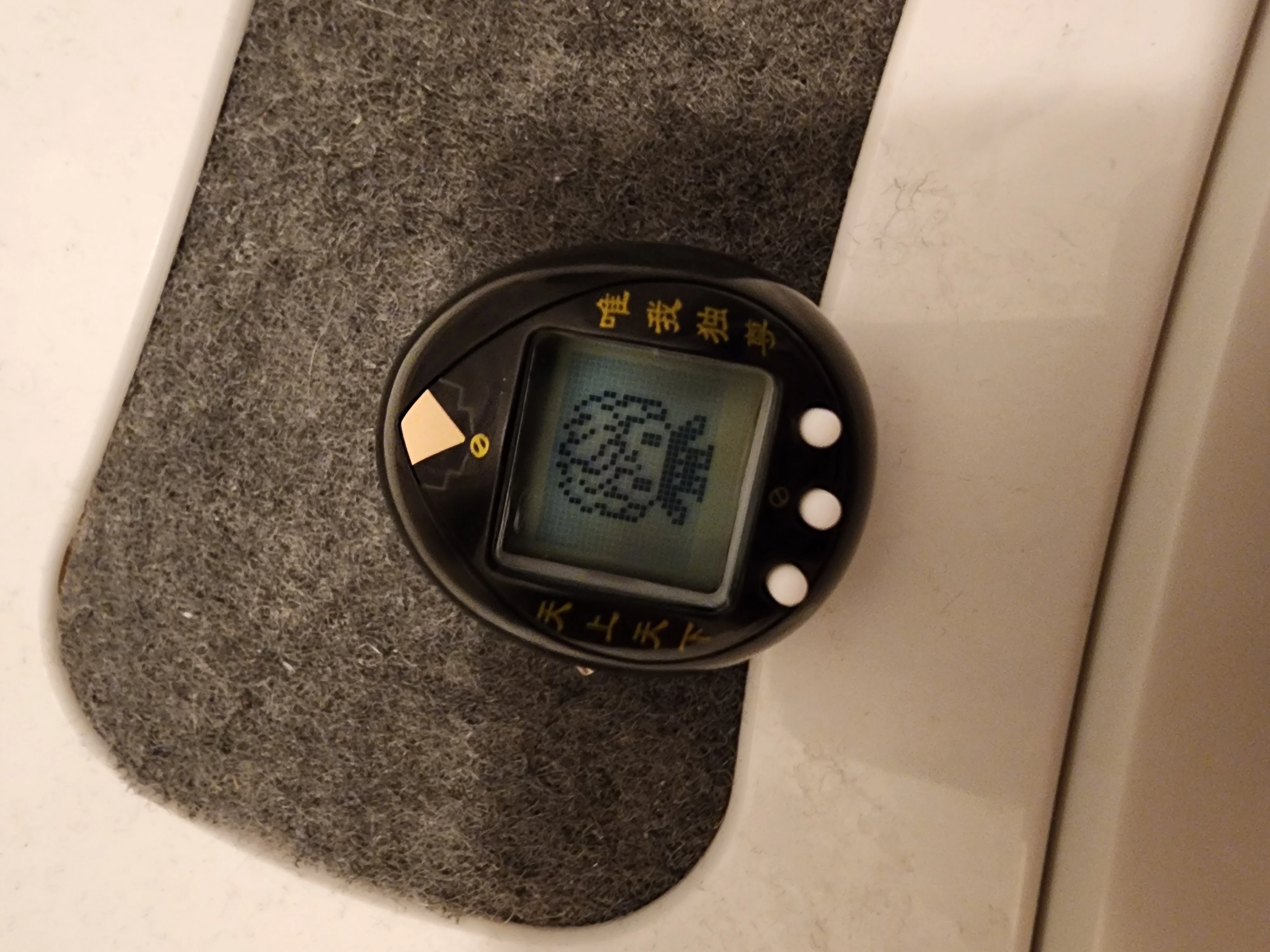 hello peeps! | Fandom