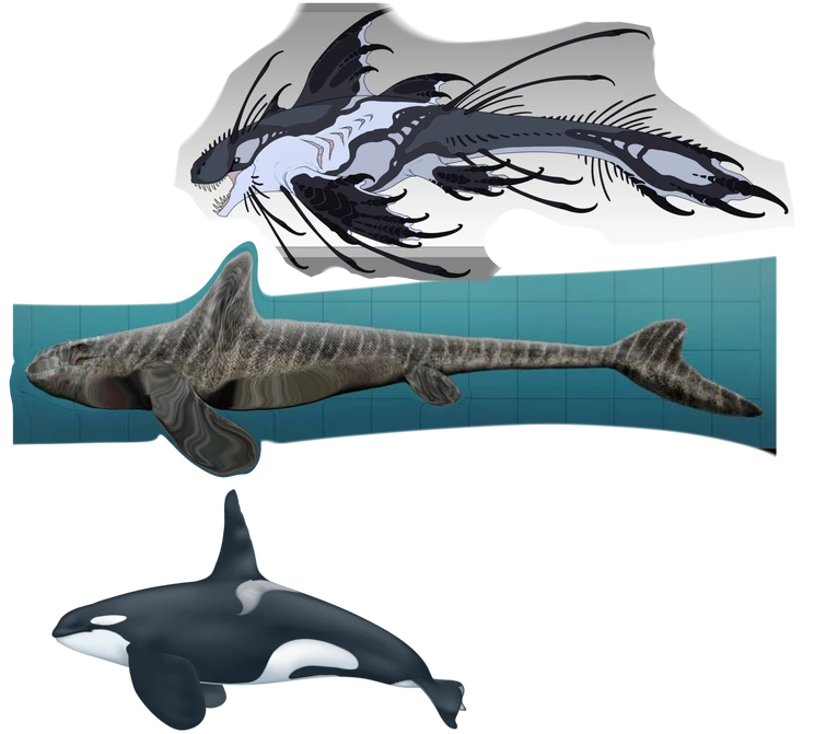 I want an Orca creature ☹️ | Fandom